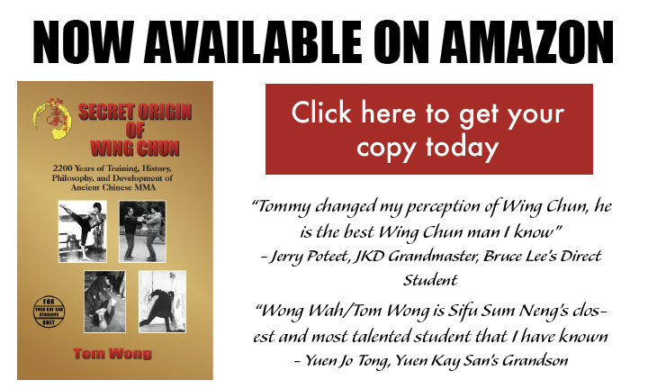 Tom Wong Wing Chun - Home of Yuen Kay San | Sum Neng 詠春